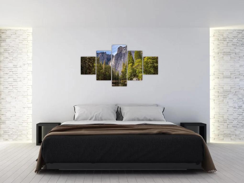Obraz - Pod Yosemite skálou (125x70 cm)