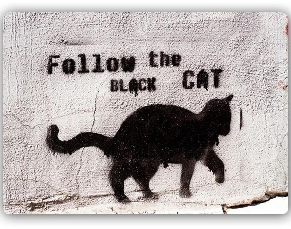 CARO Kovový obraz - Black Cat 60x40 cm