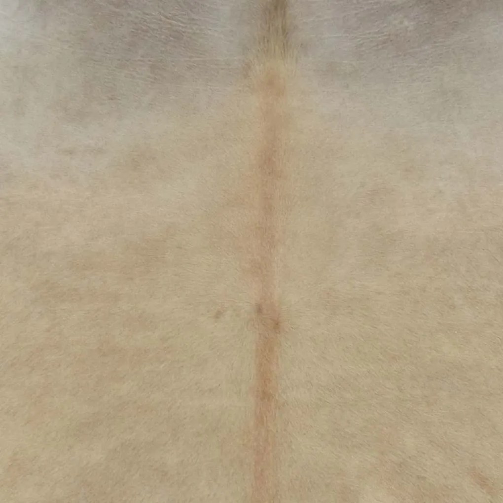 Koberec z pravé hovězí kůže 150 x 170 cm béžový 284345
