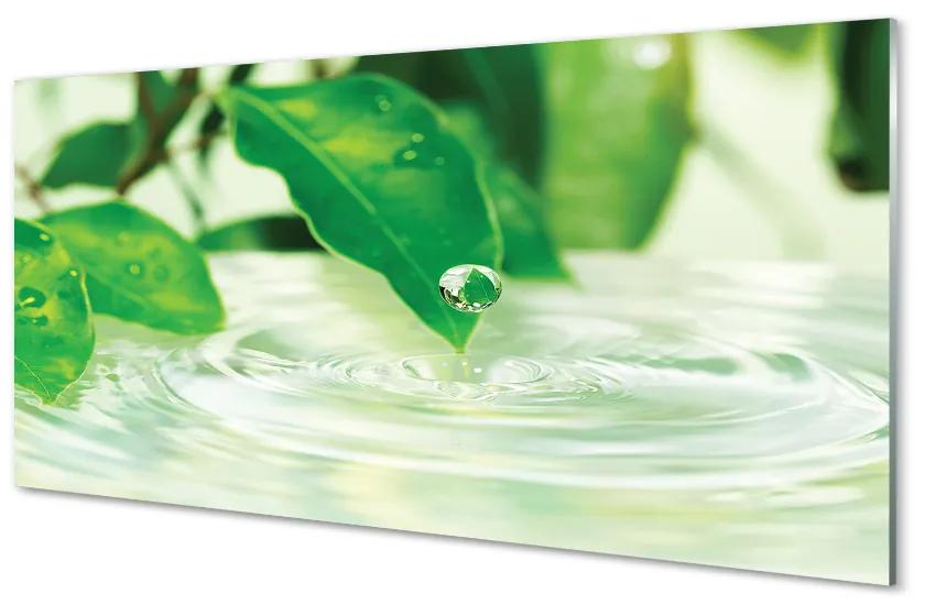 akrylový obraz Kapky vody listí 140x70 cm