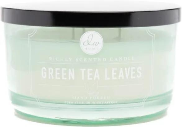 DW Home Vonná svíčka ve skle Zelený čaj - Green Tea Leaves, 13,8oz