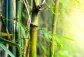 Lavinest Podložka Bamboo proti nadměrnému pocení Rozměr: 140 x 200 cm (250 g/m²)