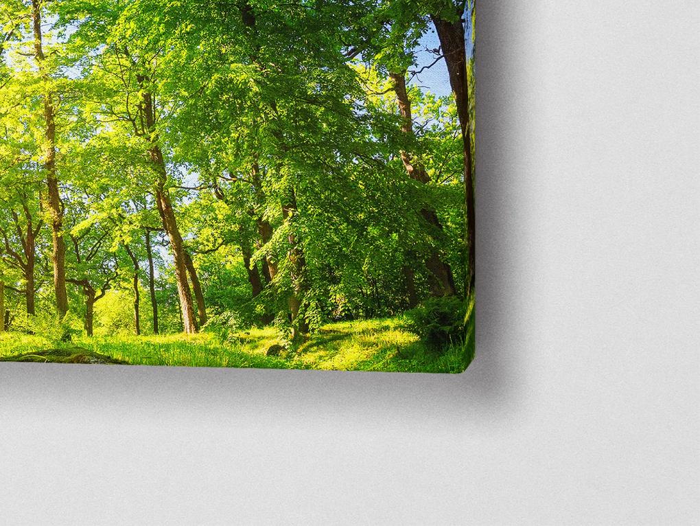 Liox Obraz silný strom Rozměr: 100 x 40 cm