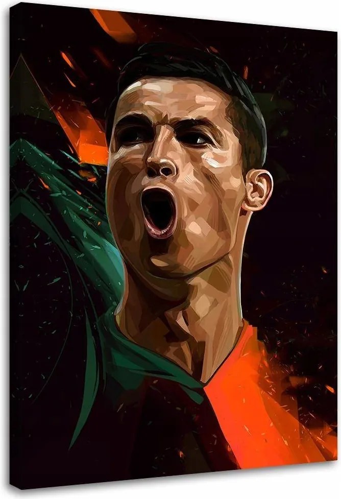 Obraz na plátně, Cristiano 40x60
