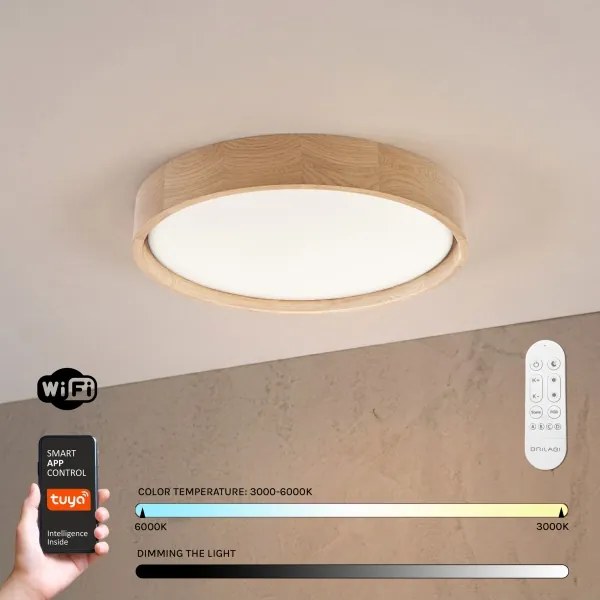 BRILAGI - LED Stm stropní svítidlo MANAROLA SMART LED/24W/230V pr. 41 cm + DO