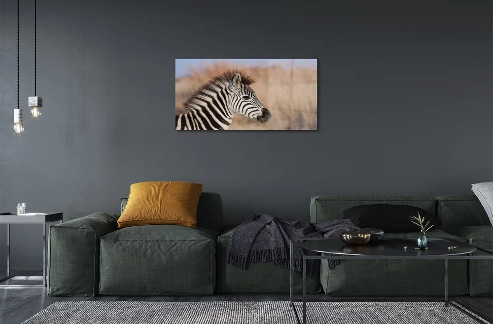 Obraz na skle zebra 125x50 cm