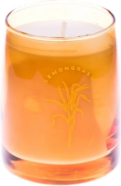 DW Home Vonná svíčka ve skle Citrónová tráva - Lemongrass, 9,8oz