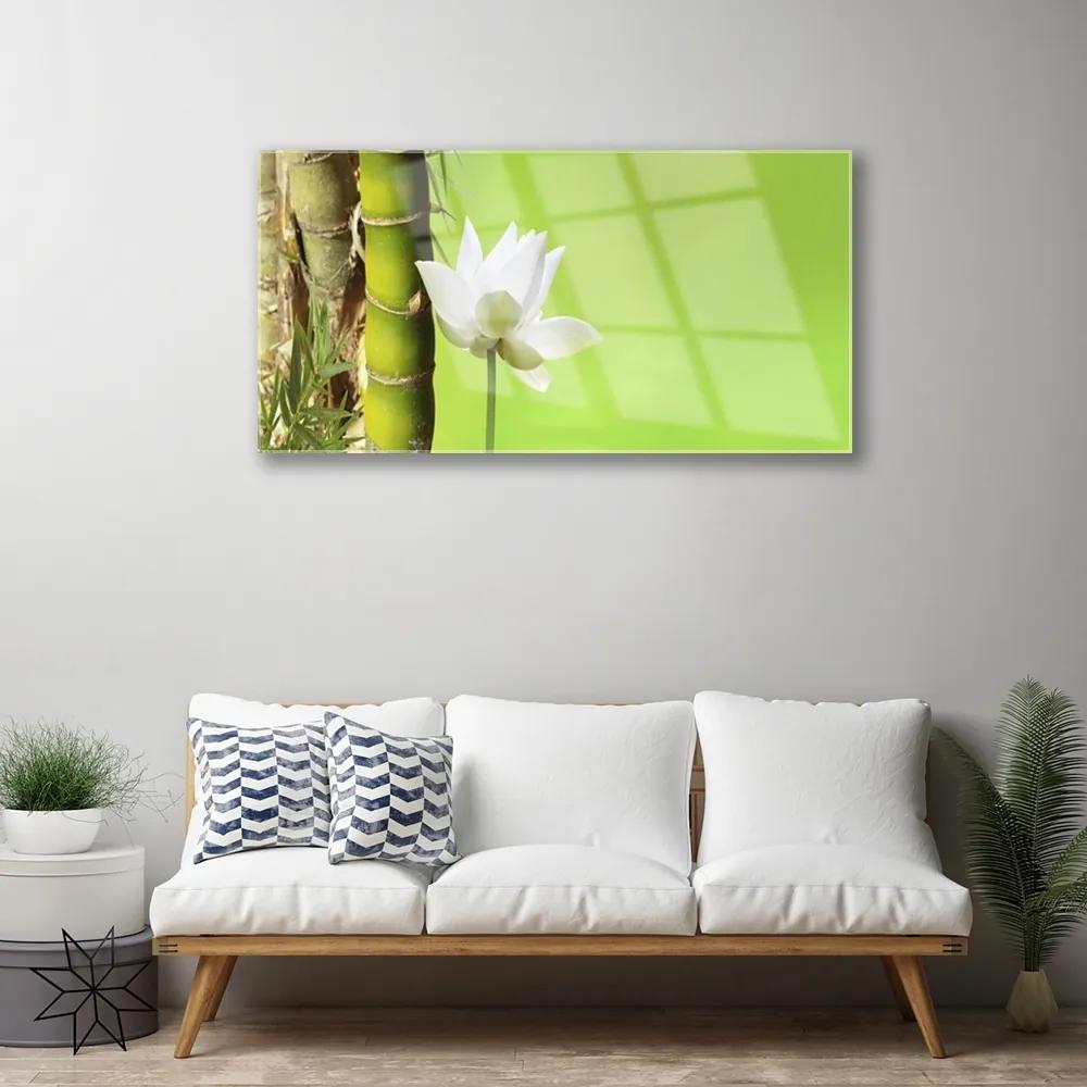 Obraz na skle Bambus Stonek Rostlina Příroda 120x60 cm