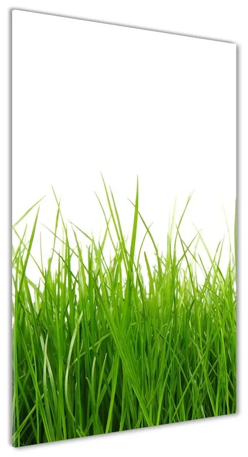 Wallmuralia Vertikální Foto obraz sklo tvrzené Zelená tráva 50x100