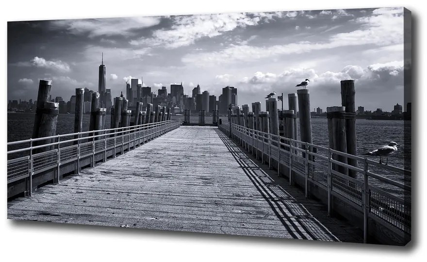 Wallmuralia Foto obraz canvas New York panorama 100x50 cm