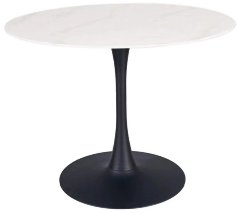 Jídelní stůl ONTARIO, 100x76x100, bílý mramor/černá