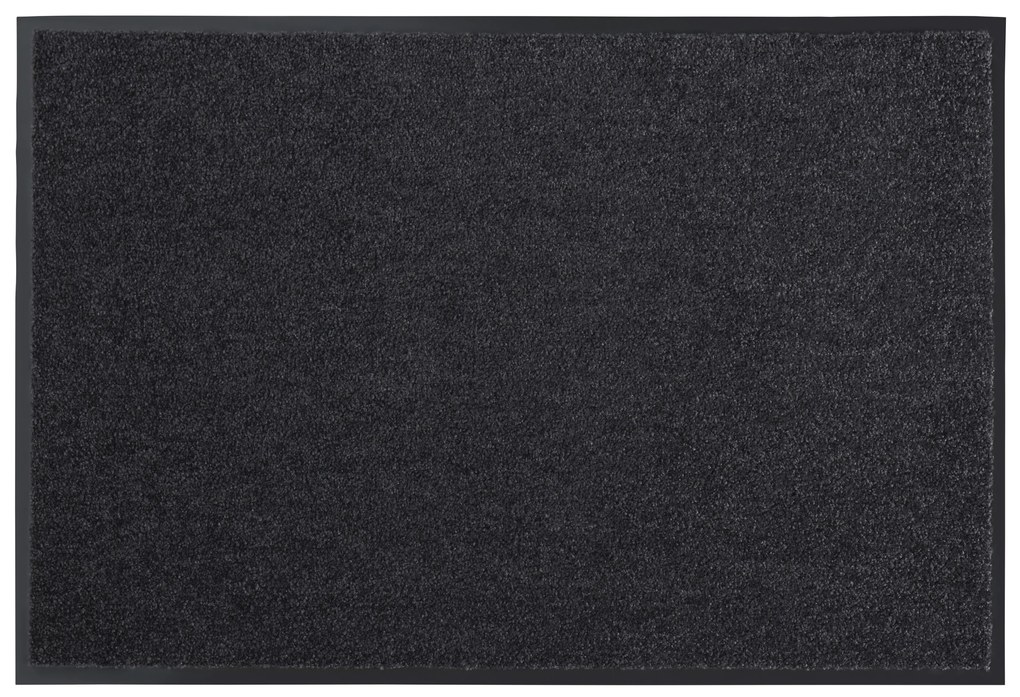 Hanse Home Collection koberce Rohožka Wash & Clean 102011 Black ROZMĚR: 40x60