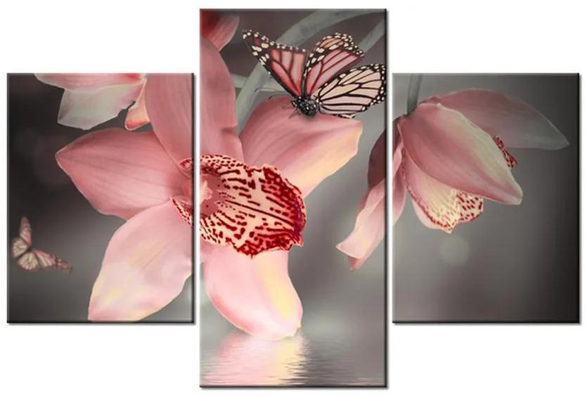 Obraz květů a motýla (90x60 cm)