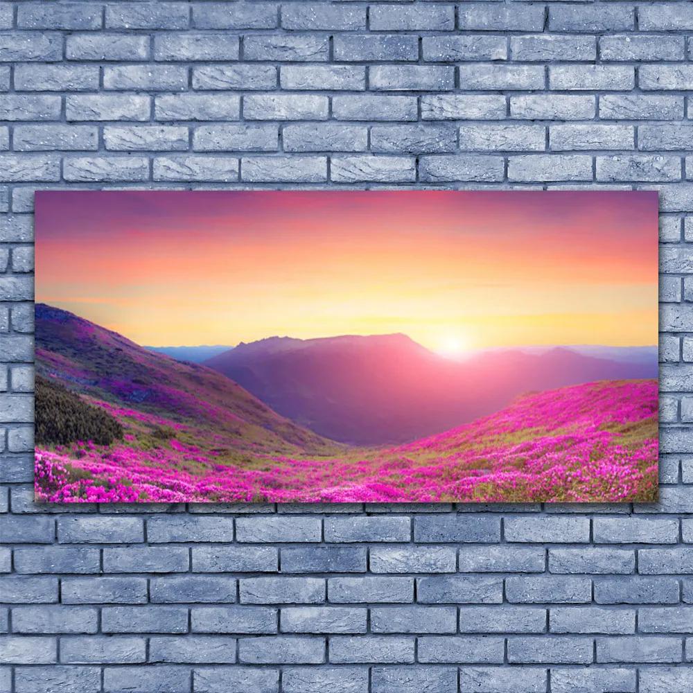 Plexisklo-obraz Slunce Hory Louka Příroda 120x60 cm