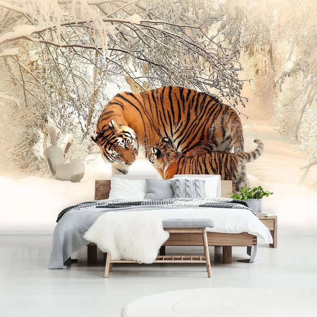 Fototapeta - Tygři na sněhu (254x184 cm)