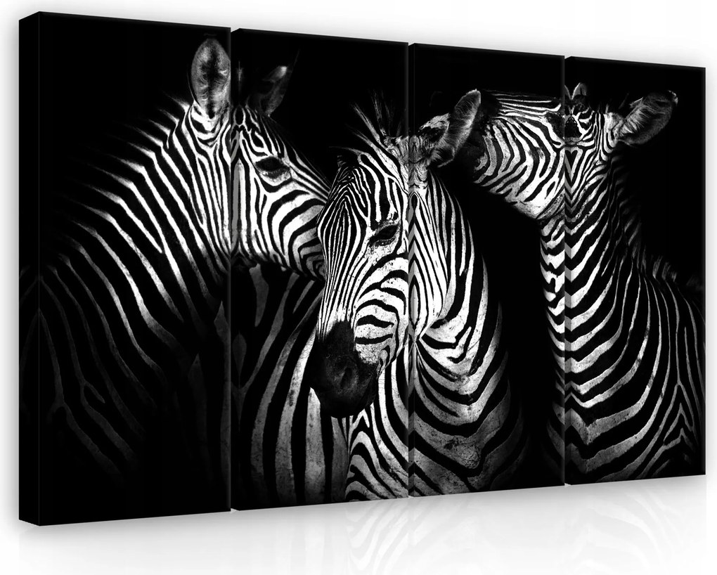 Obraz 120x80 Zebra černobílý Afrika pruhy grafika moderní elegance