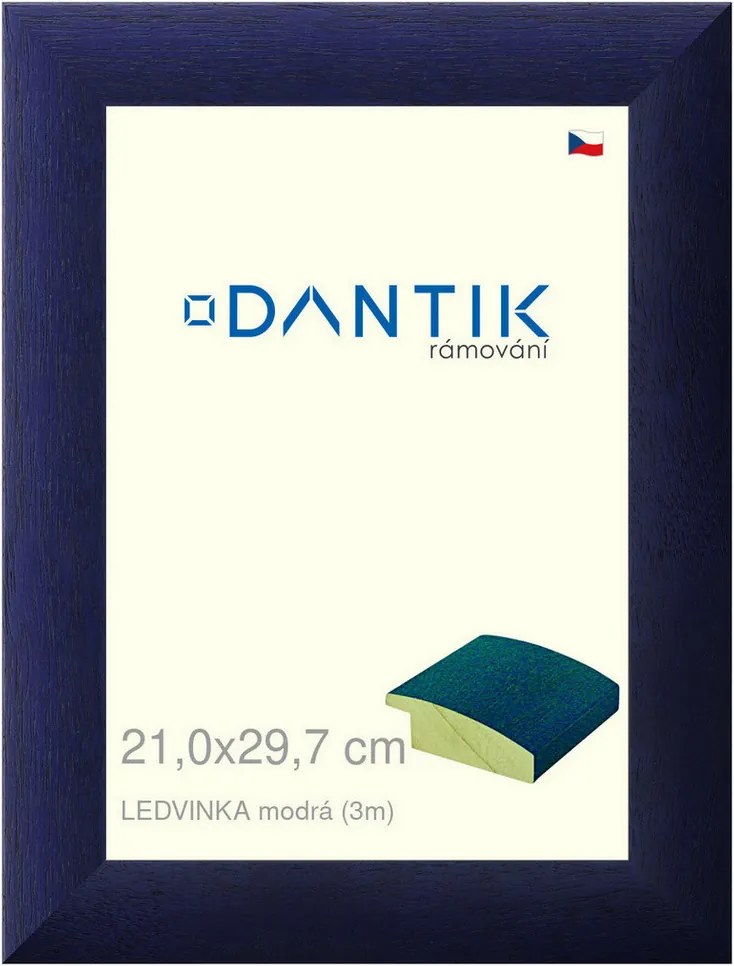 DANTIK rámeček 21x29,7 | LEDVINKA modrá (Sklo Čiré)