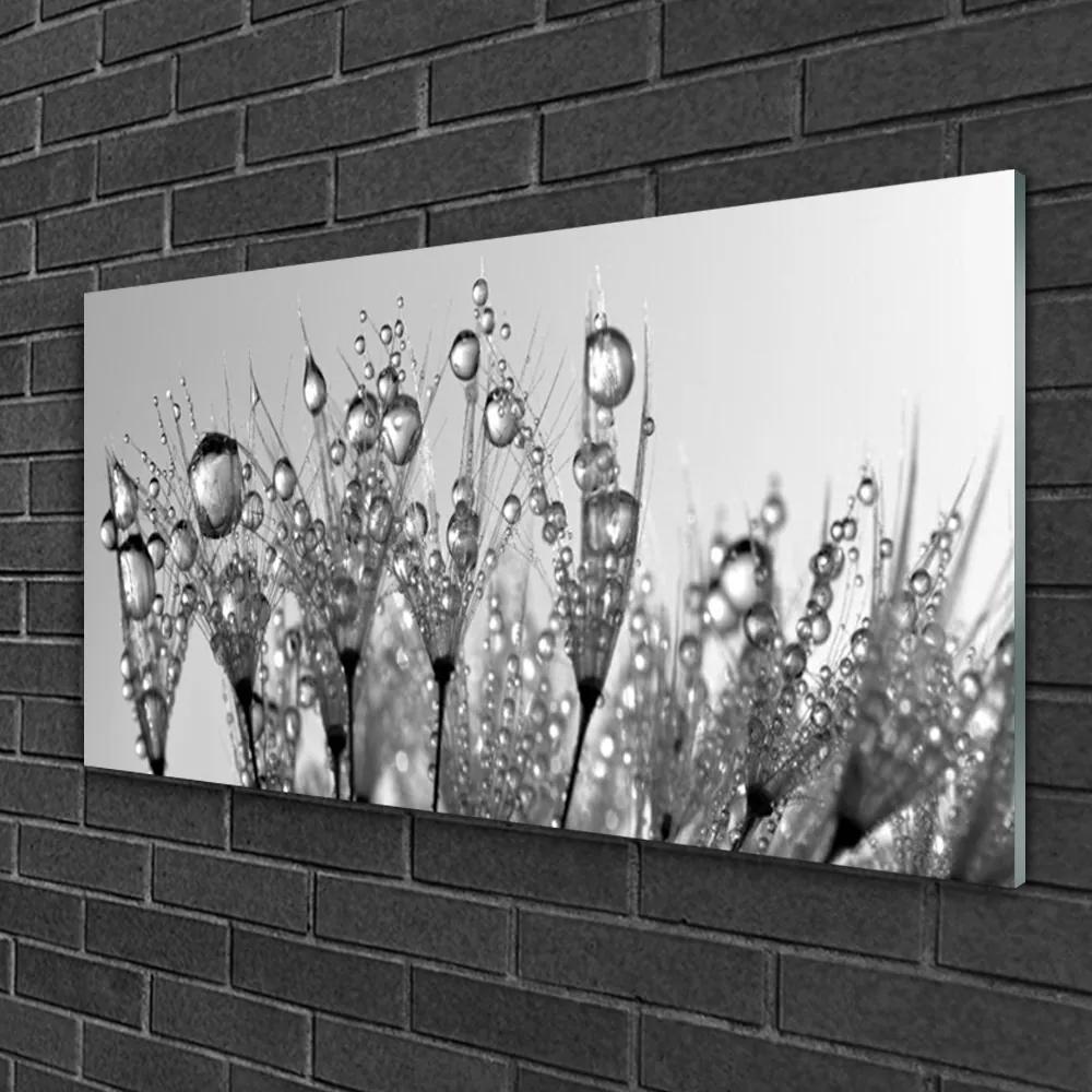Obraz na skle Abstrakce Rostlina Příroda 140x70 cm