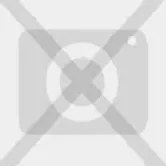 Venkovní smaltovaný teploměr, Černobílý, Motiv Švestky, 500x95mm