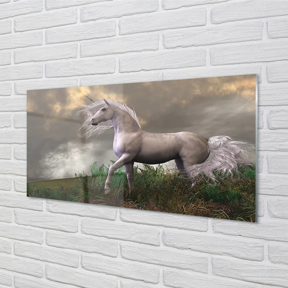 akrylový obraz Unicorn mraky 140x70 cm