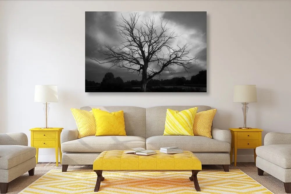 Obraz černobílý strom na louce - 90x60 cm