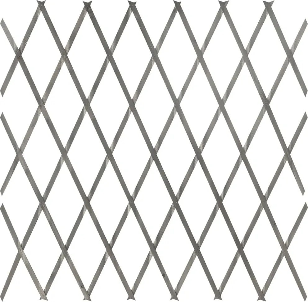 vidaXL Trelážové ploty 5 ks masivní jedlové dřevo 180 x 80 cm [316422] Barva: Hnědá