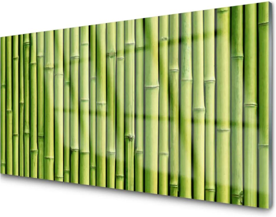 Skleněný obraz Bambus Rostlina Příroda
