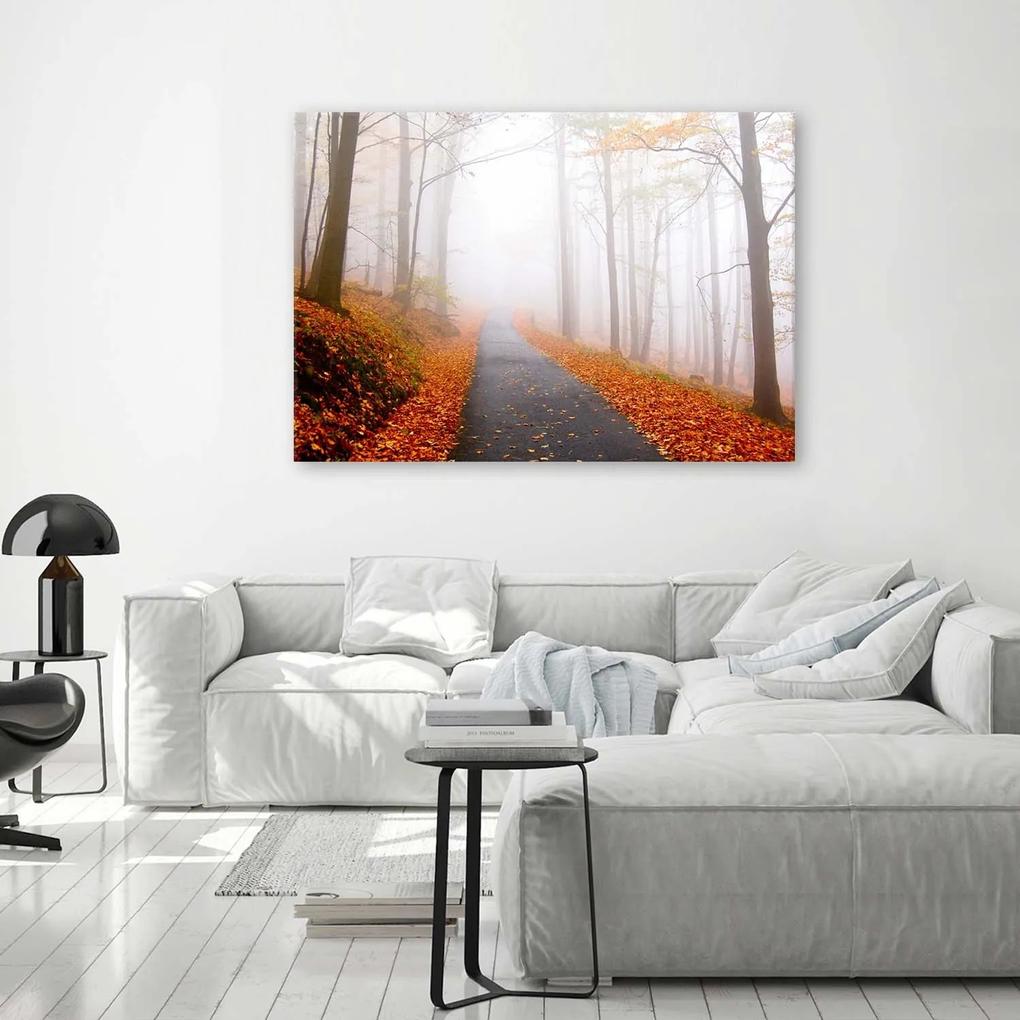 Gario Obraz na plátně Zlatý podzim v parku Rozměry: 60 x 40 cm