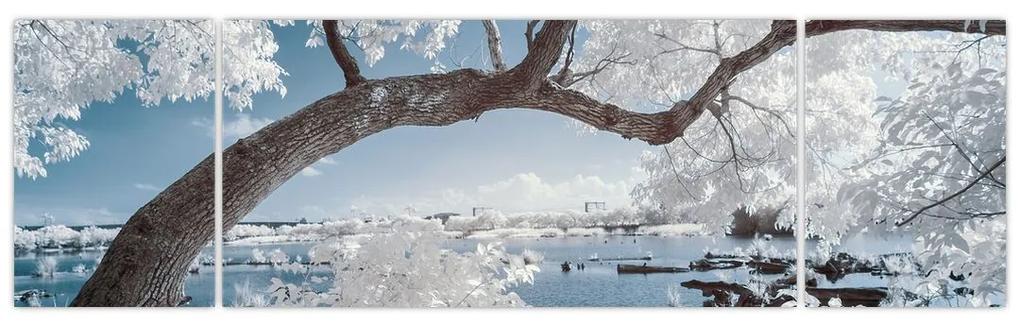 Obraz zasněženého stromu u vody (170x50 cm)