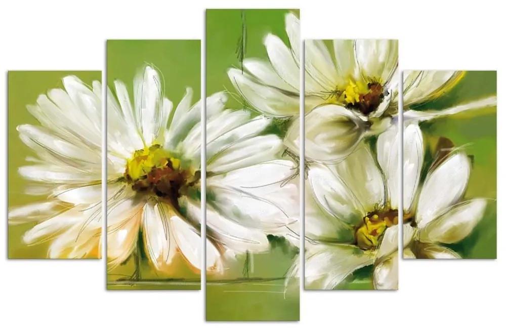 Obraz na plátně pětidílný Bílé sedmikrásky květy - 200x100 cm