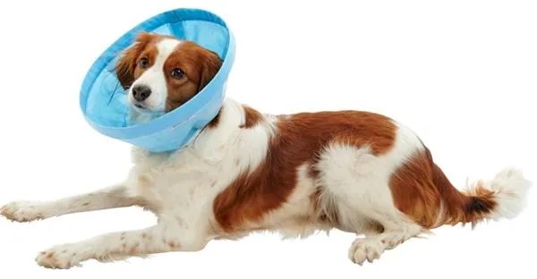 Límec Buster z netkané textilie Soft Flex 7,5 cm