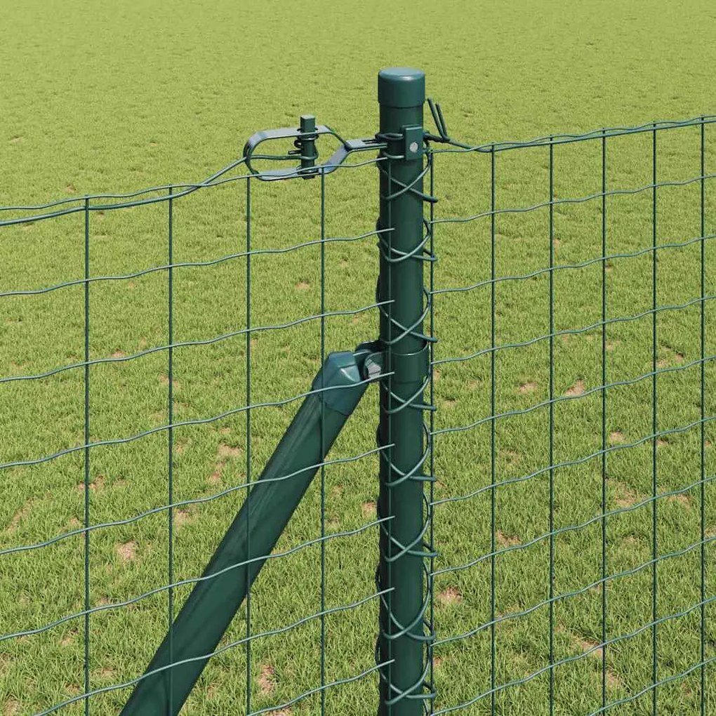 Evropský plot se hroty 10 x 1,6 m Ocel potažená PVC Zelená 3350543