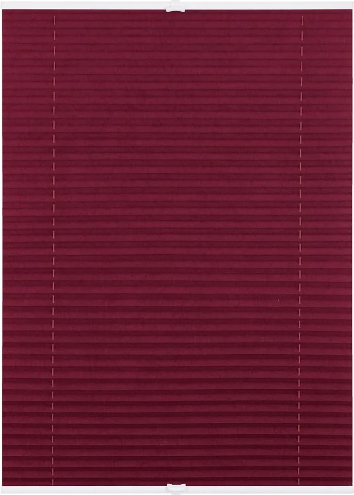 Lichtblick Plisovaná roleta, od 45 x 130 cm (ostružinová, 85 x 130 cm)
