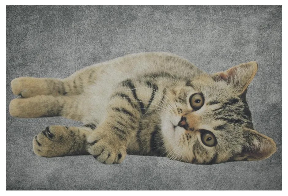 Šedá podlahová rohožka mourované kotě - 75*50*1cm
