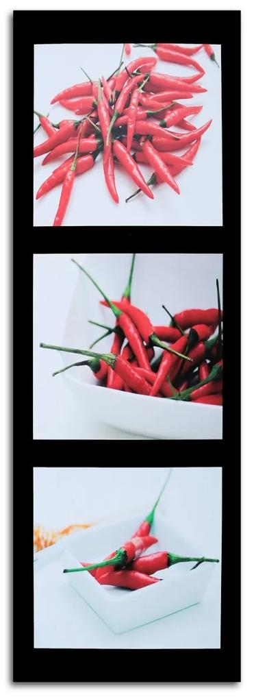 Obraz na plátně Koření Papriky - 40x120 cm