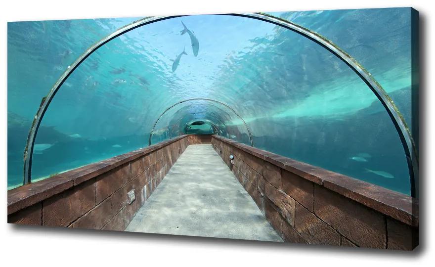 Wallmuralia Foto obraz na plátně Tunel akvárium 100x50