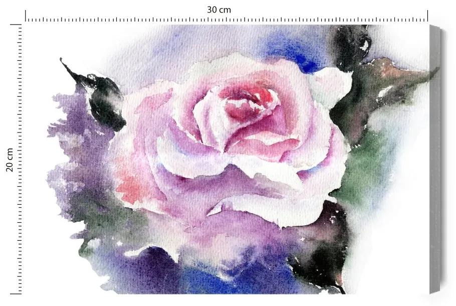 Obraz Krásná Růže Malovaná Akvarelem Nedostatek Nedostatek Plátno Canvas 120x80