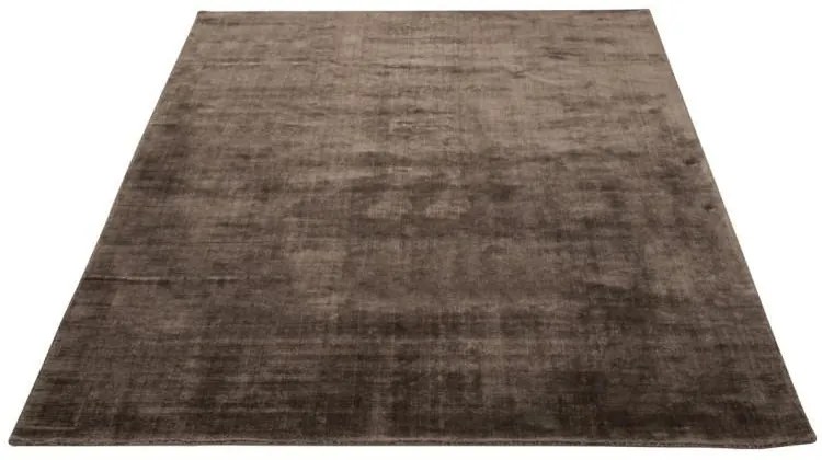 Koberec Taupe - 200*300 cm