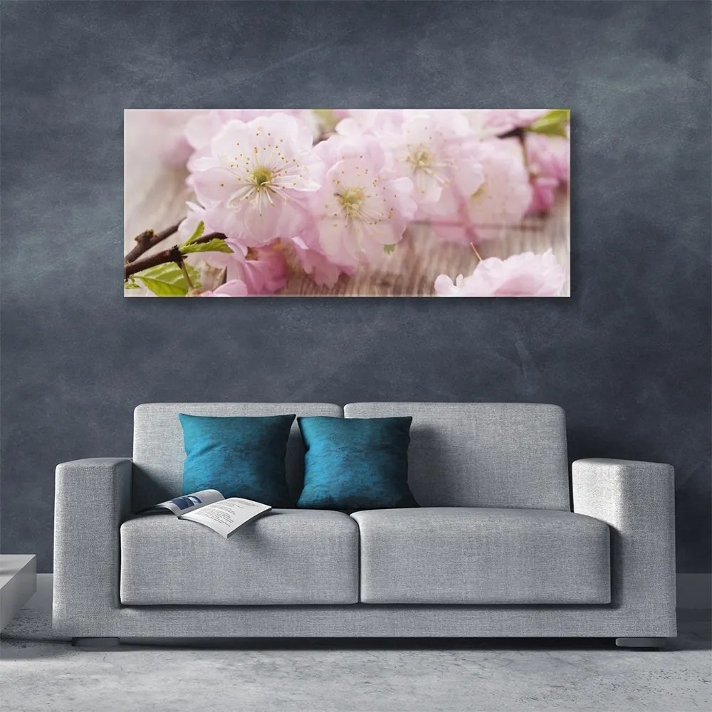 Plexisklo-obraz Větve Květiny Plátky Příroda 125x50 cm
