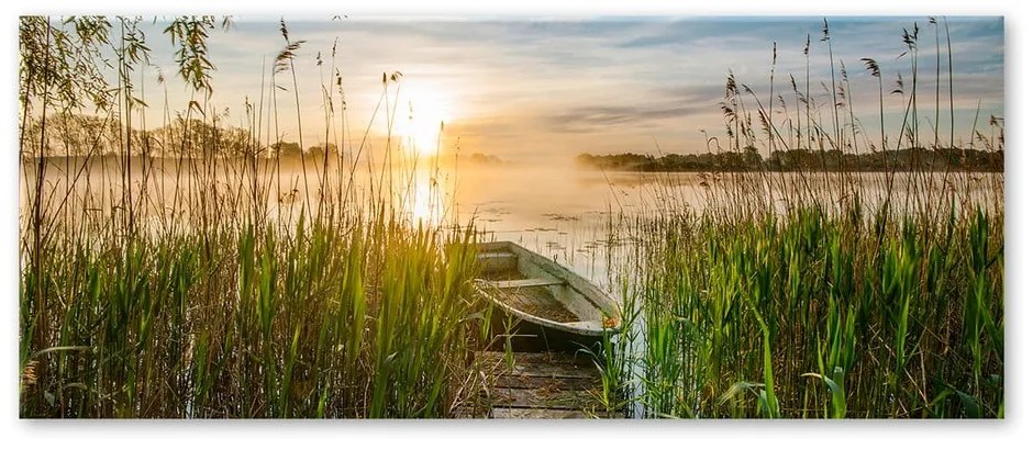 Obraz Styler Boat In The Grass, 125 x 50 cm Biano.cz