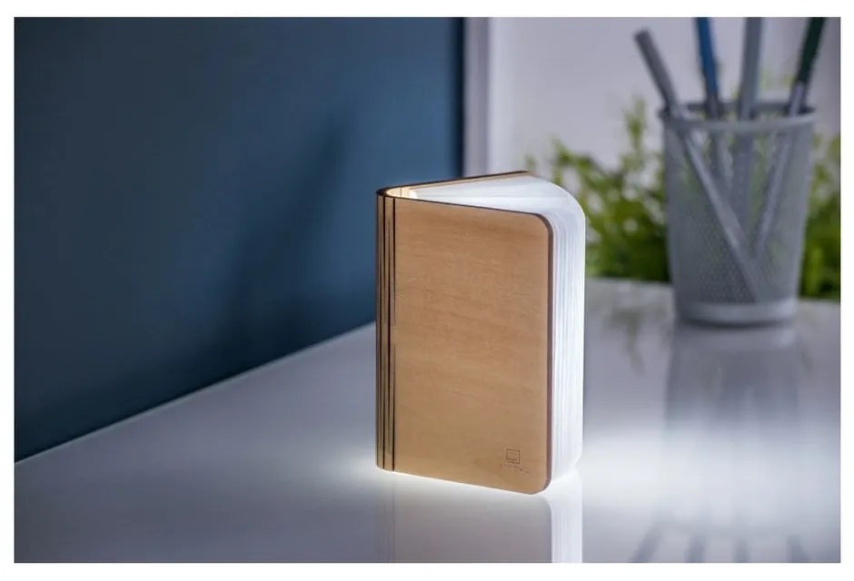 Světelná dekorace na USB v přírodní barvě Booklight – Gingko