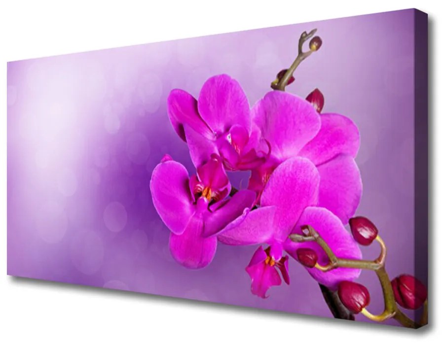 Obraz na plátně Květiny Plátky Orchidej 140x70 cm