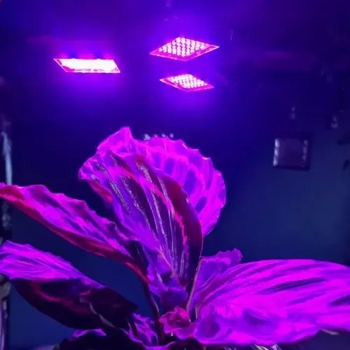 Lampa pro růst rostlin Gardlov 20440, 108LED, E27