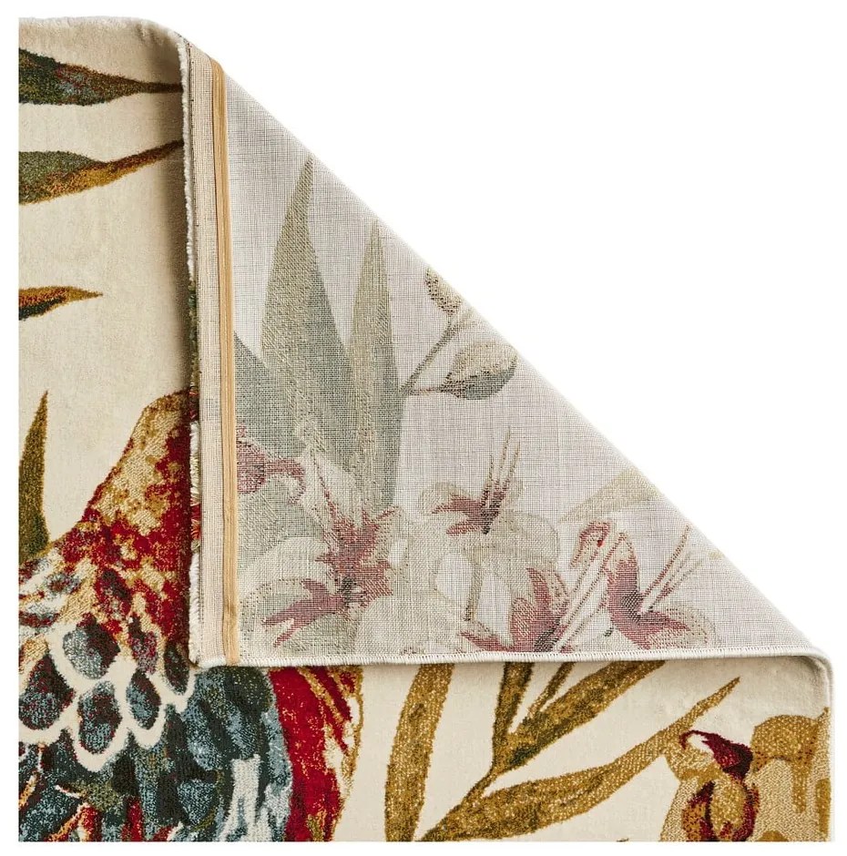Koberec Think Rugs Tropics Parejo Cream & Multi, 120 x 170 cm
