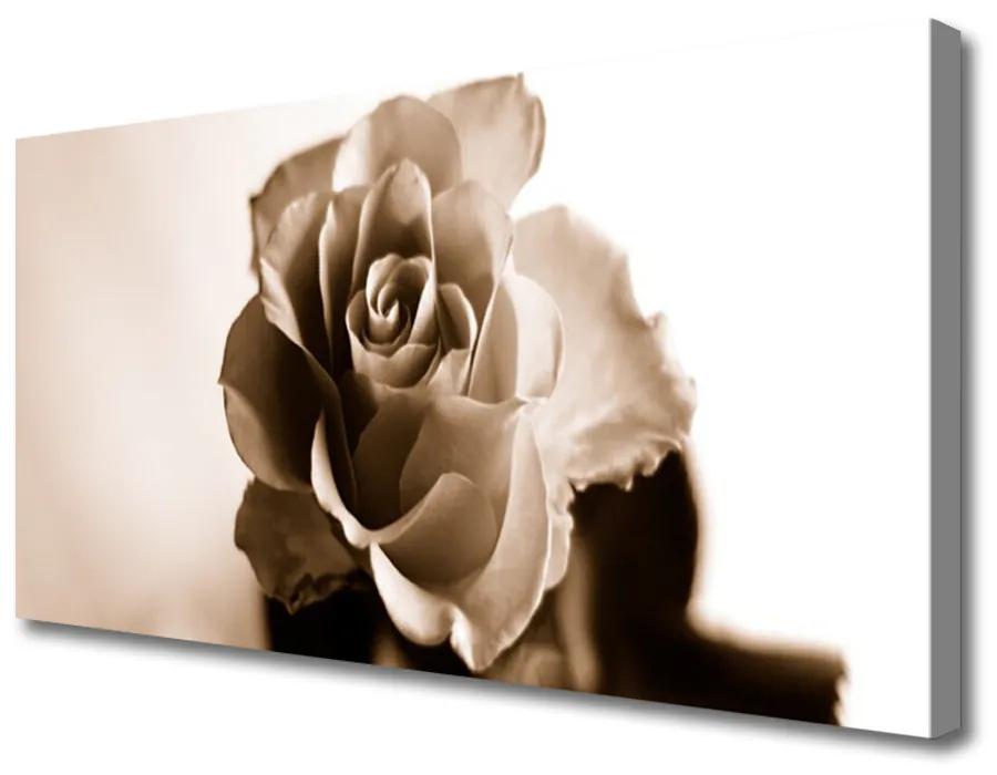 Obraz na plátně Růže Květ 100x50cm