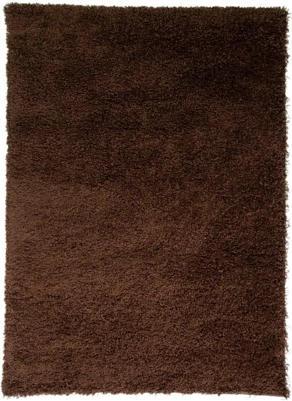 Hnědý koberec Flair Rugs Cariboo Brown, 160 x 230 cm