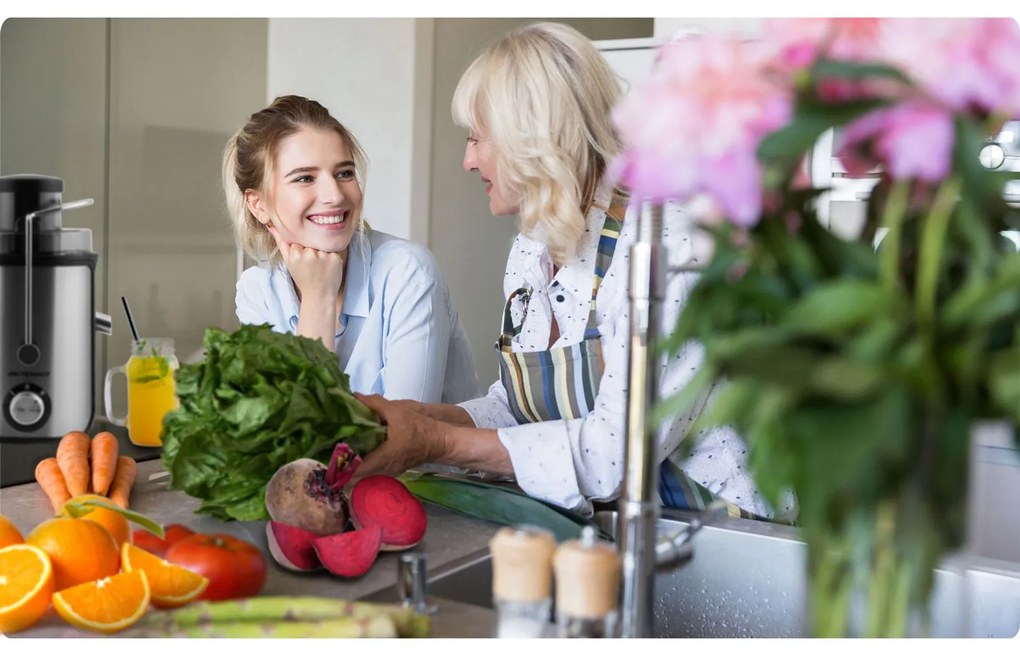 Odšťavňovač 600W BD-750 Berdsen černý
