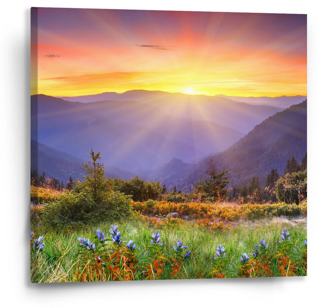 Obraz SABLIO - Západ slunce nad lesem 50x50 cm
