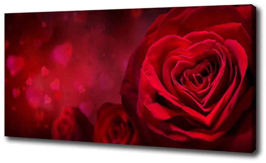 Wallmuralia Foto obraz na plátně Červená růže srdce 100x50