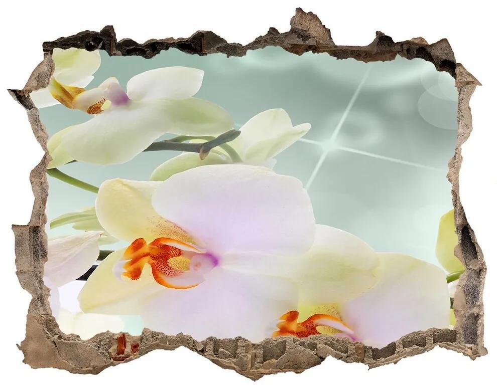 Wallmuralia Samolepící díra nálepka Bílá orchidej 95x64 cm